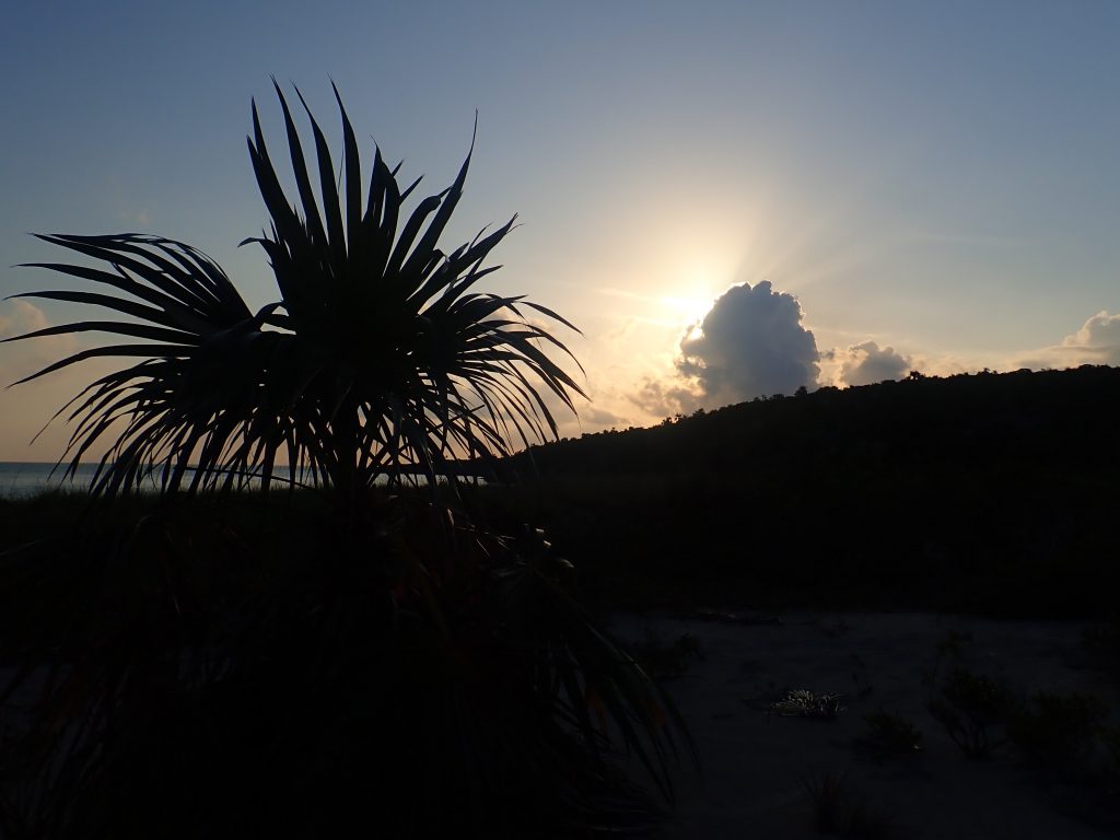 The Natural Beauty of Great Guana Cay - Clouds to Coral